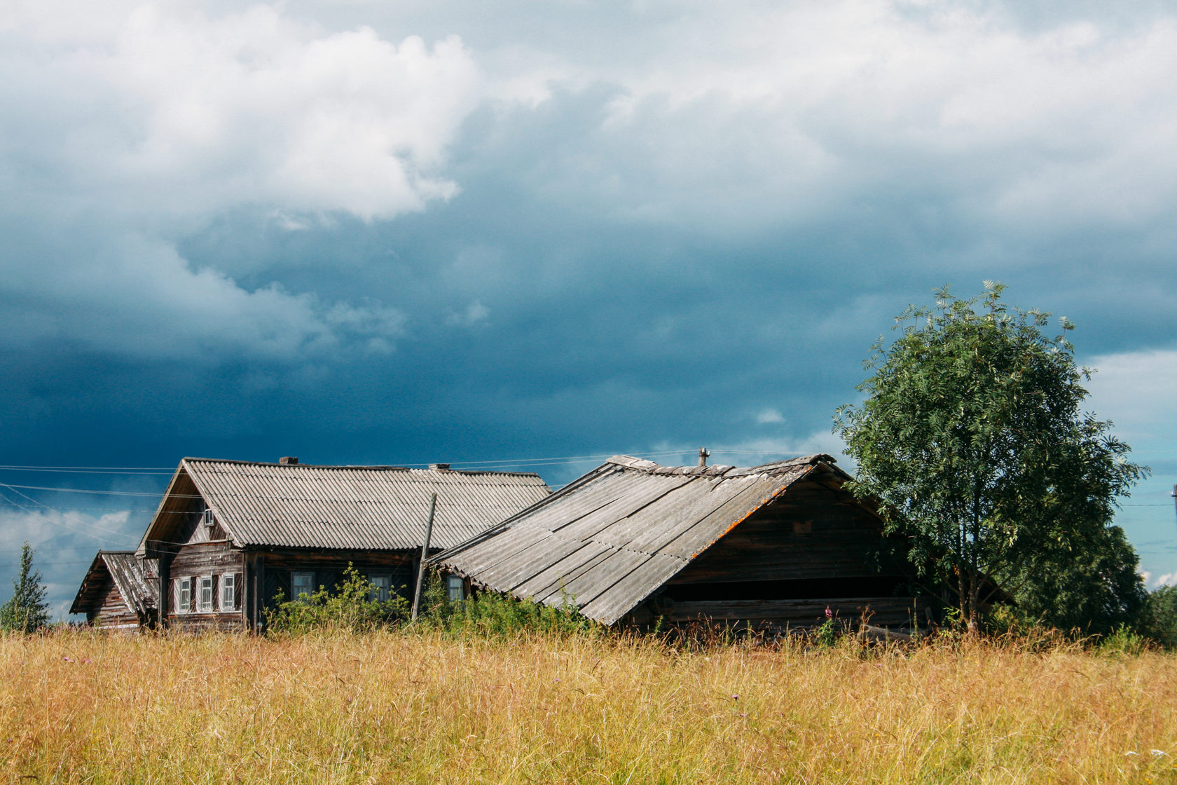 The Last of the Vepsians – The Russian Reader