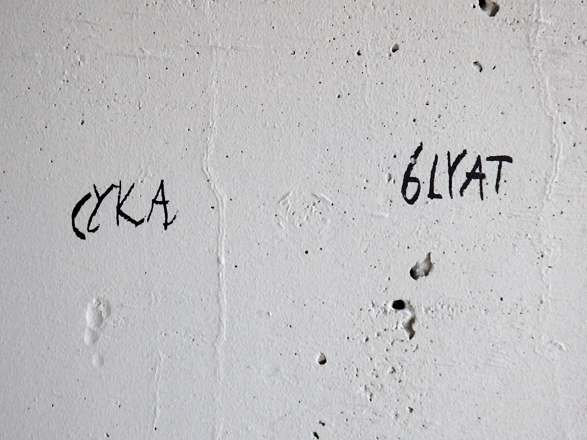 On This Day, or, Cyka Blyat – The Russian Reader